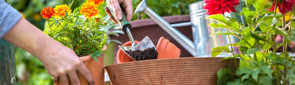 צור מרקט | Zur Market ⚡️ הכל לבית ולגינה | צור מרקט